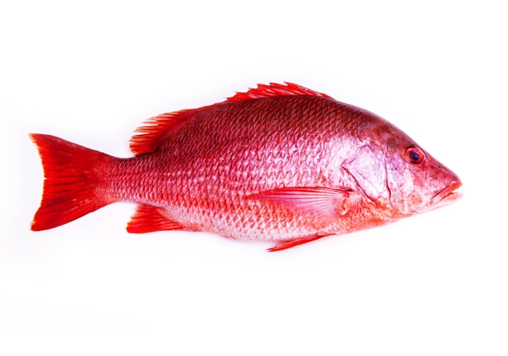 Red Snapper (Whole) | myaeon2go