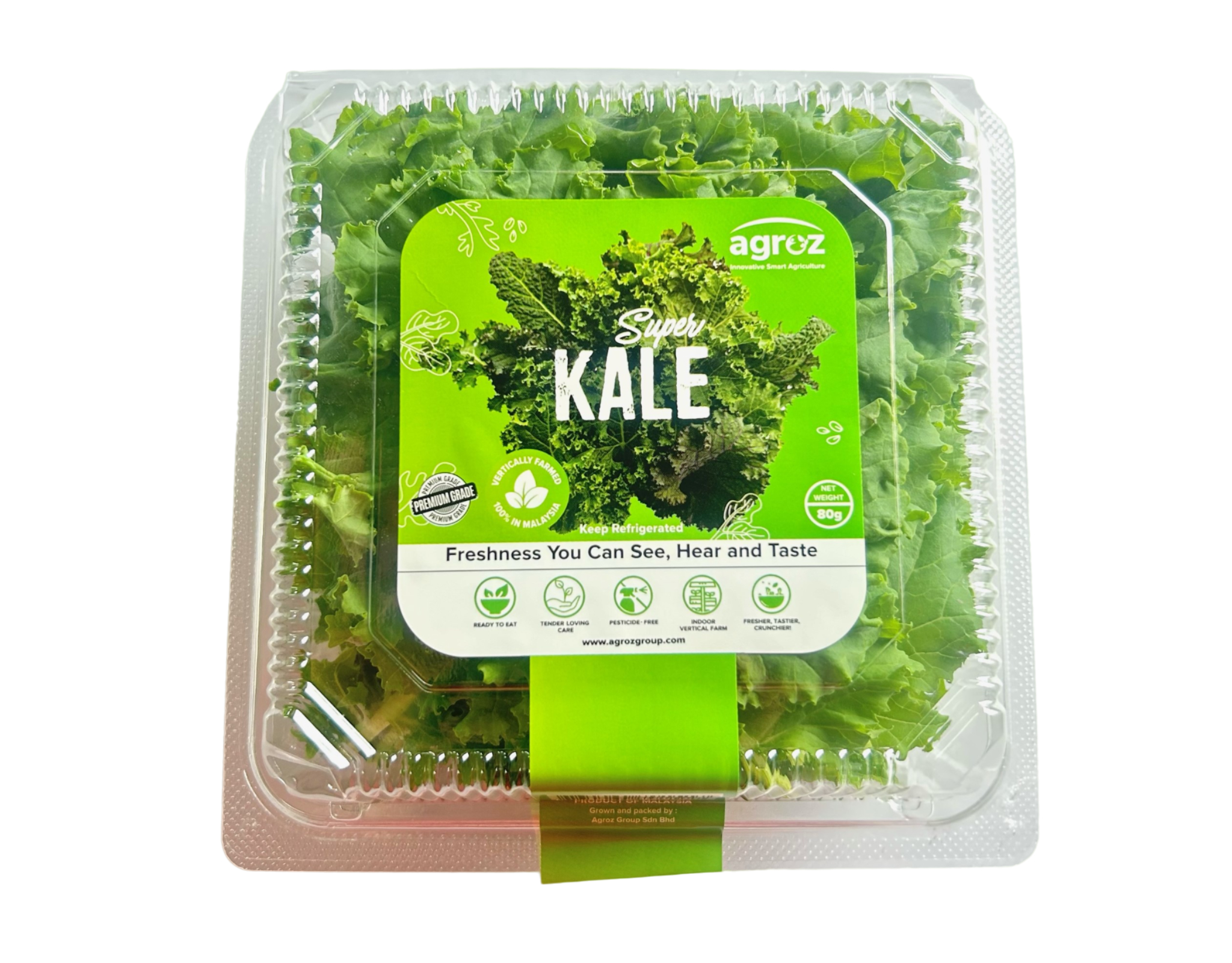 Agroz Curly Green Super Kale | myaeon2go