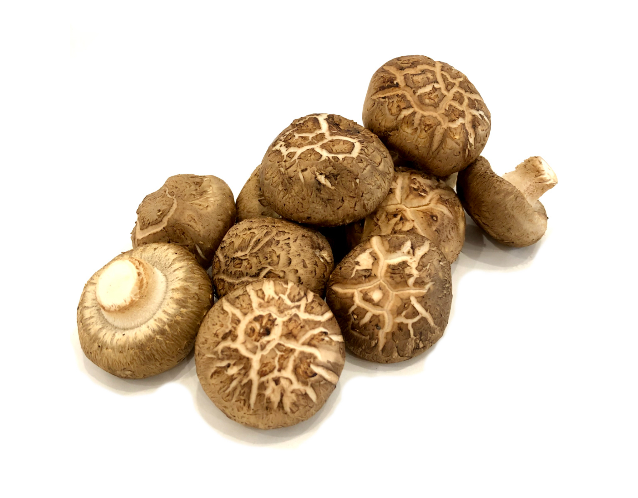 China Shiitake Mushroom, Fresh, 200g - Earthy Aroma