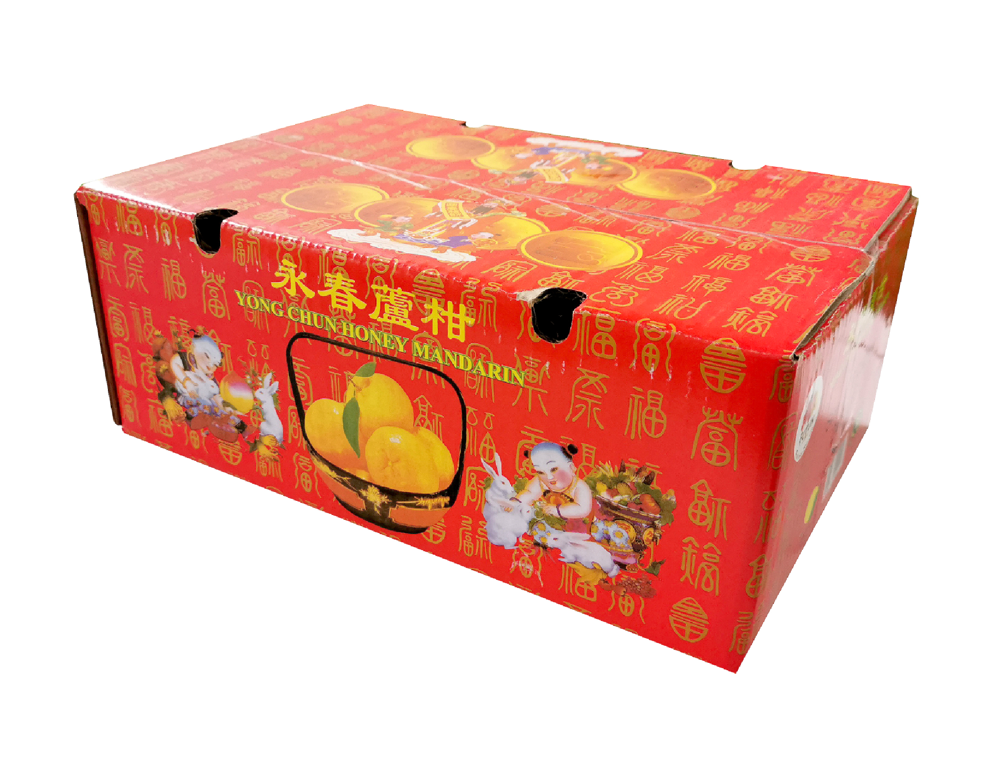 Fuyun China Lokam (L) | myaeon2go