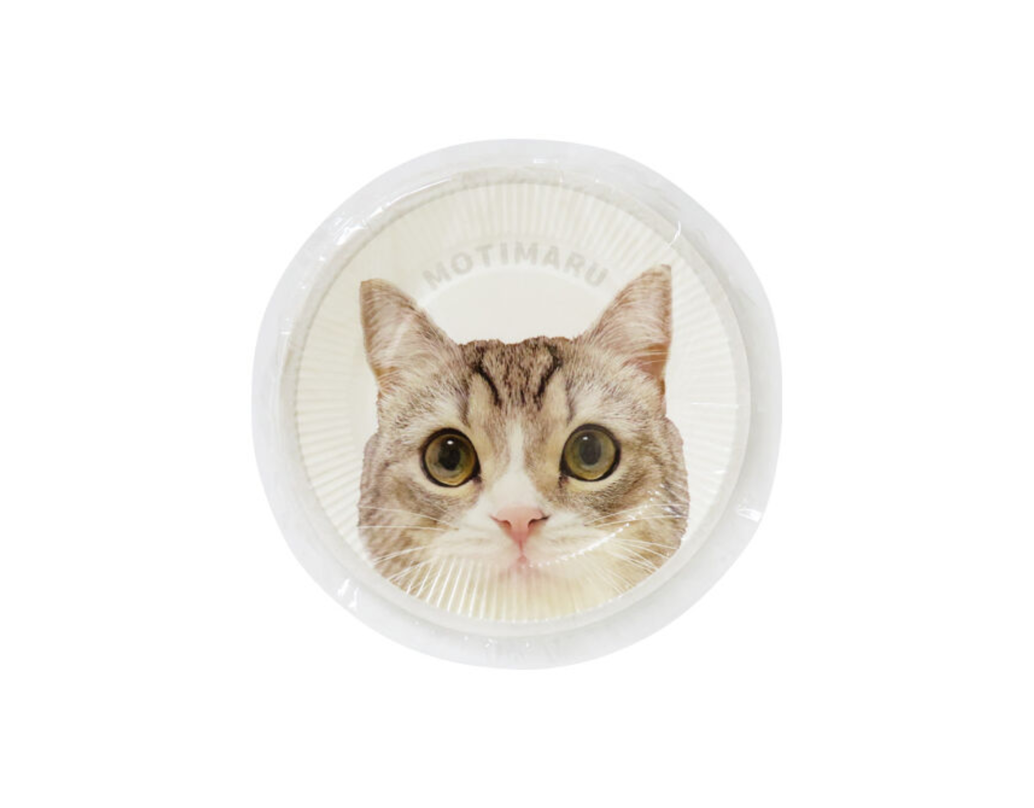 Daiso Paper Plate Motimaru Diary | myaeon2go