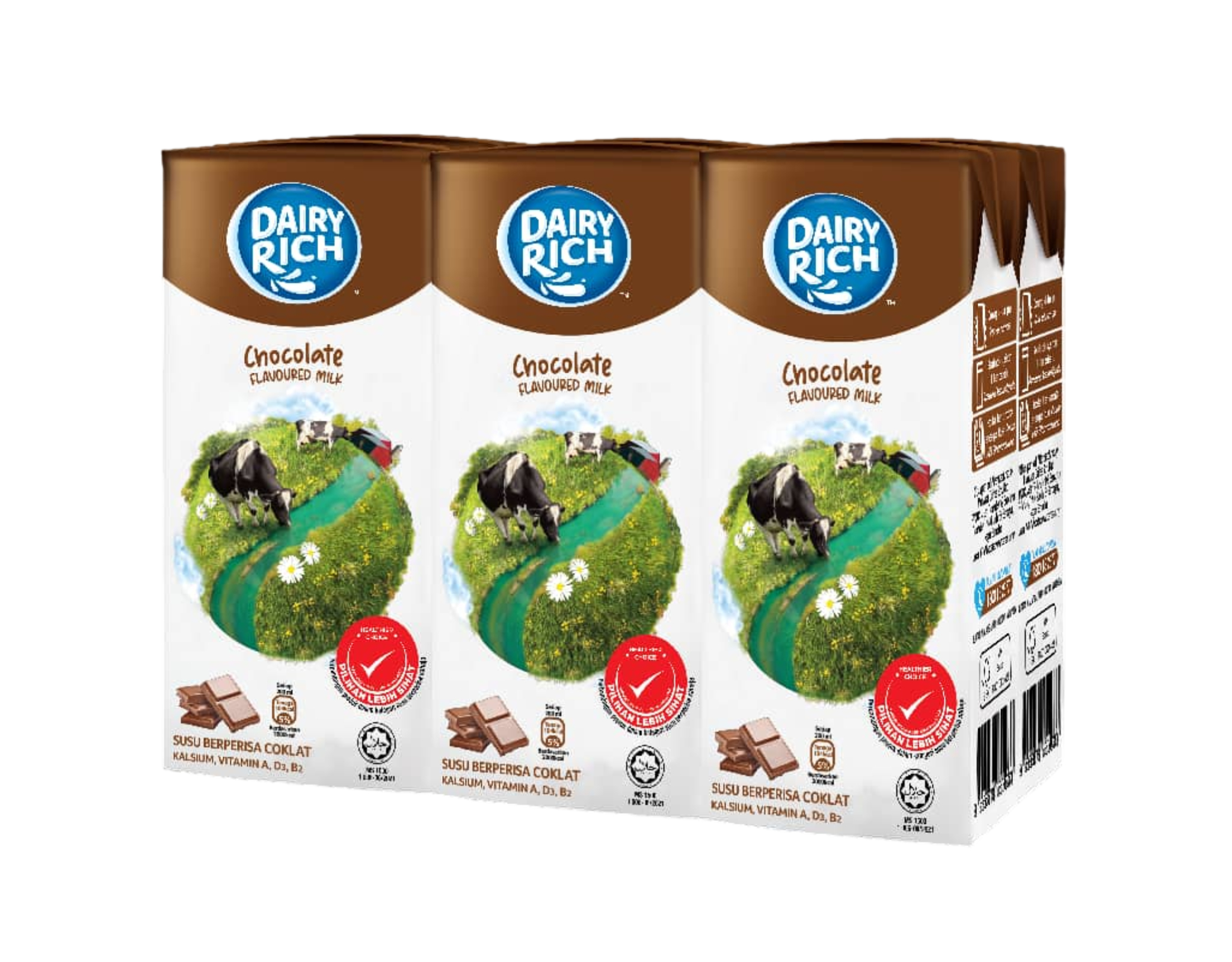 Dairy Rich UHT Chocolate Milk | myaeon2go