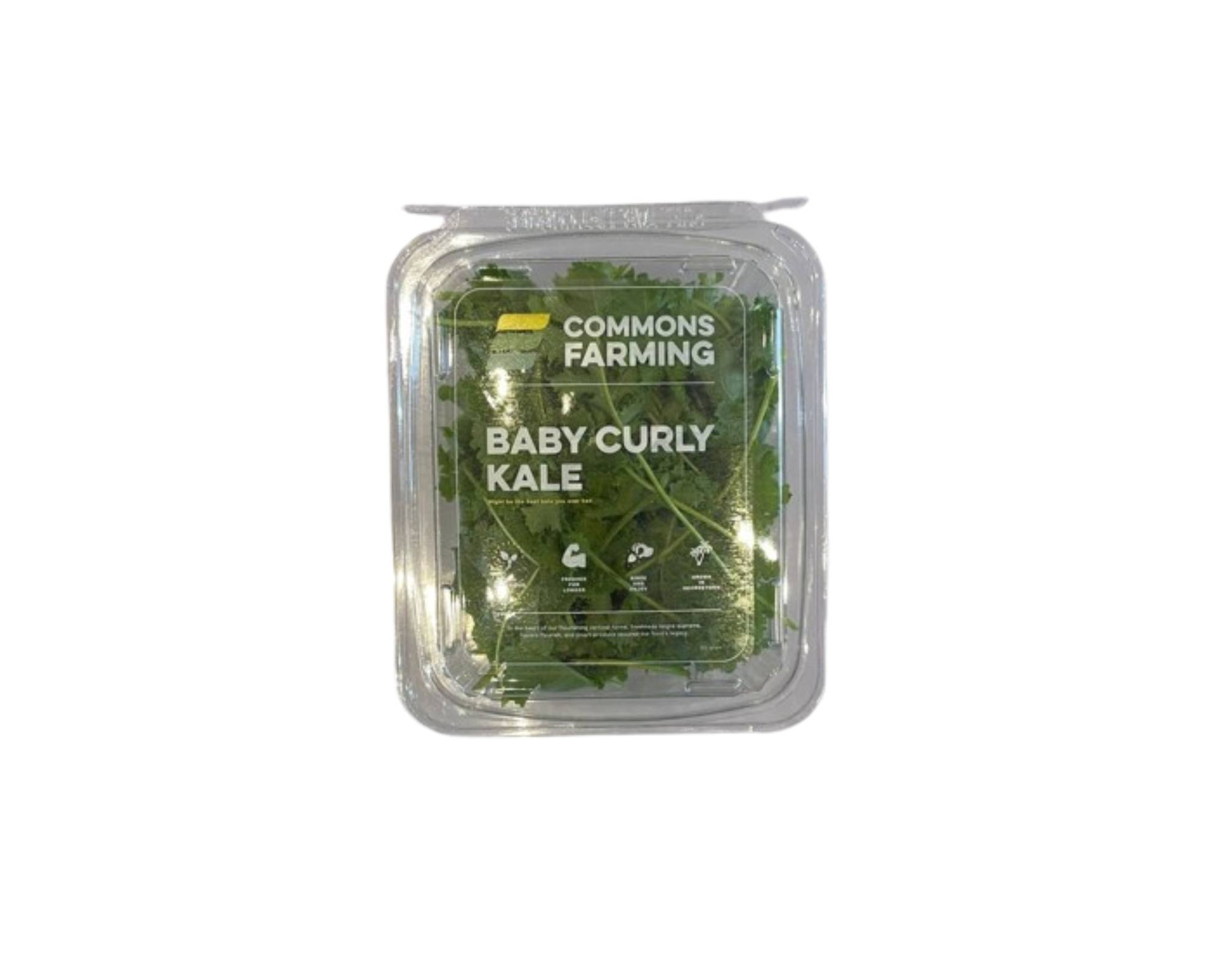 Commons Farming Baby Curly Kale | myaeon2go