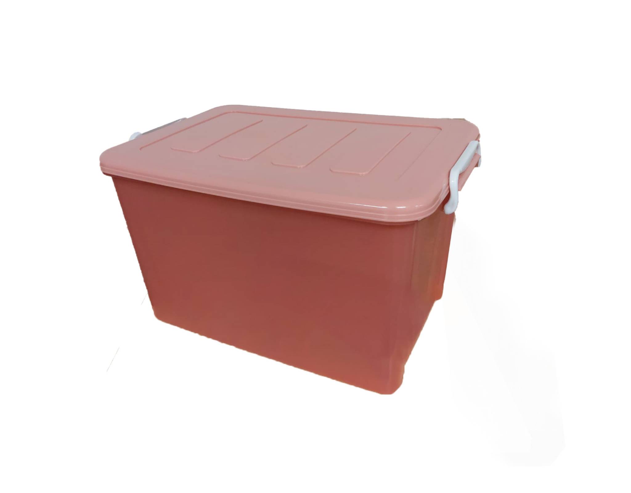 Maxonic Storage Box Raya 2025 Coral Almond | myaeon2go