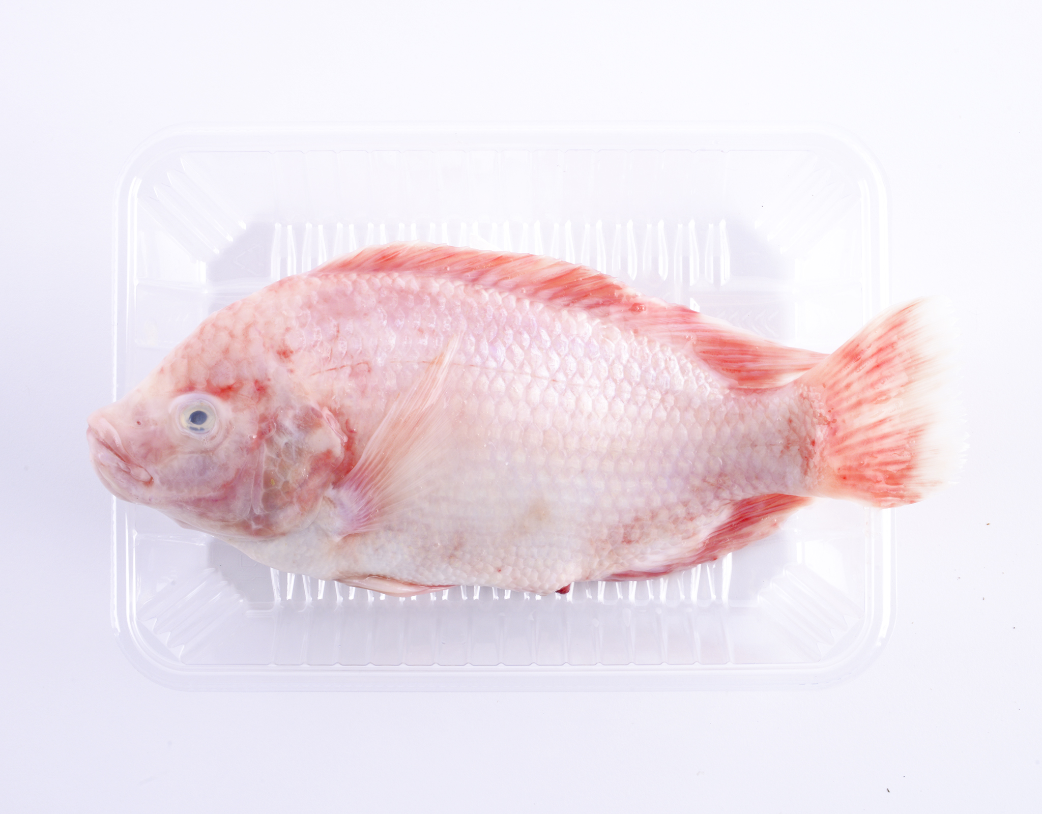 Koakua Ikan Tilapia Merah | myaeon2go