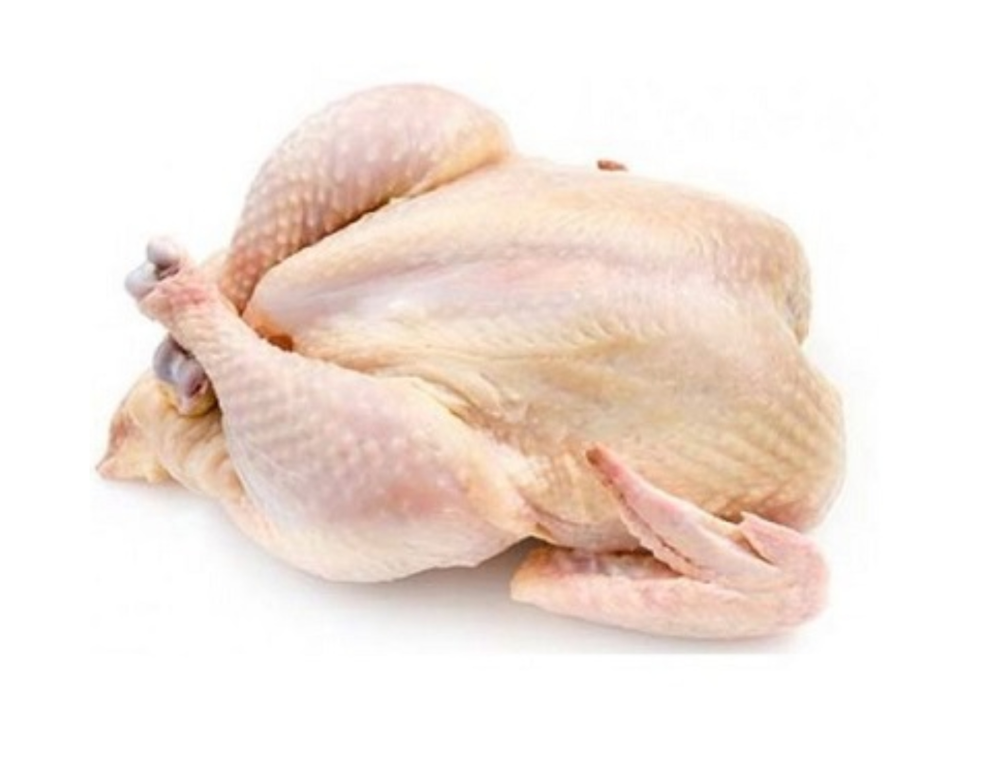 Aqina Malaysia Ayam Kampung, 900g - 1kg - Rich Flavor