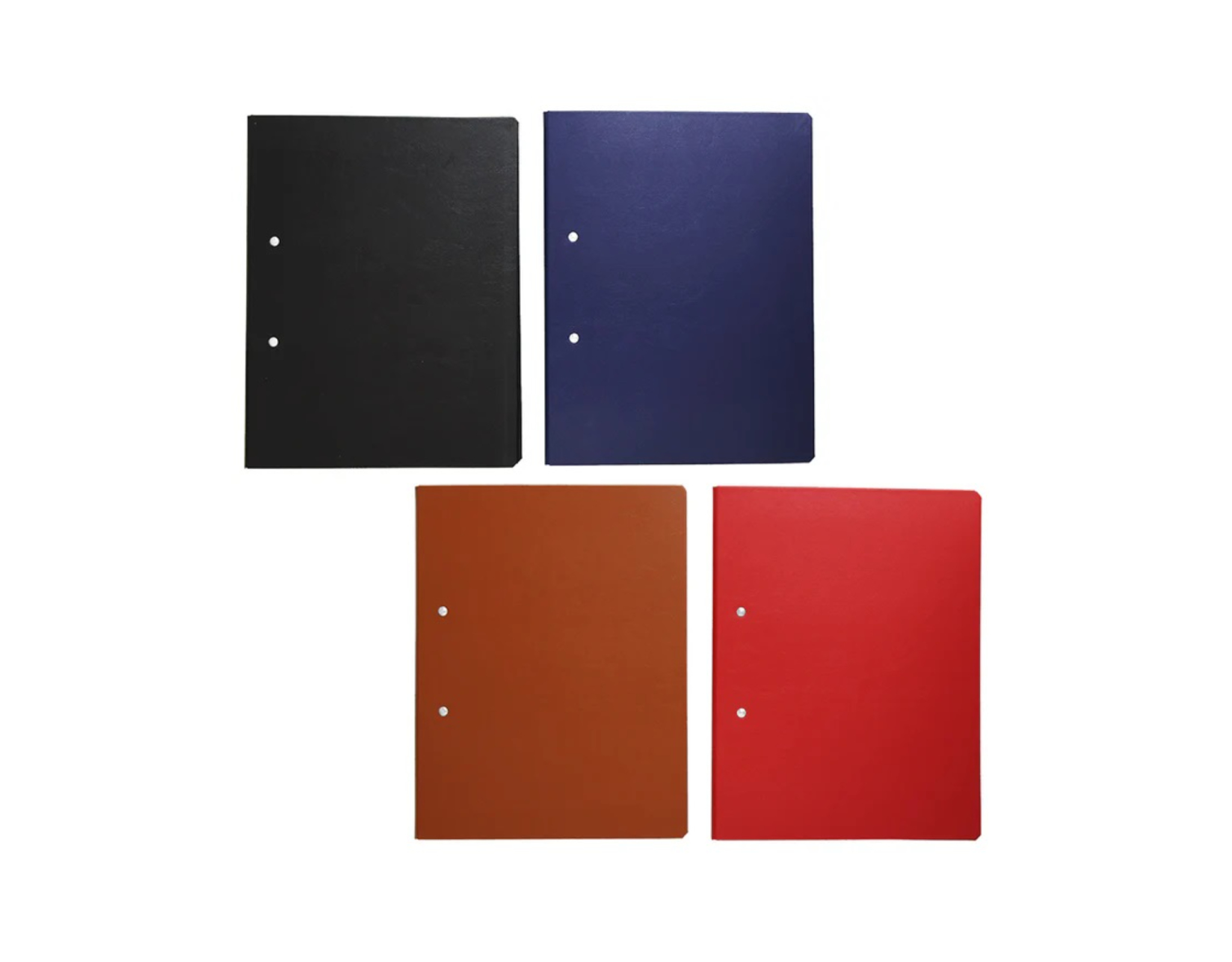 Daiso [SELECTED RANDOMLY] A4 Size Z File PP-Laminated | myaeon2go