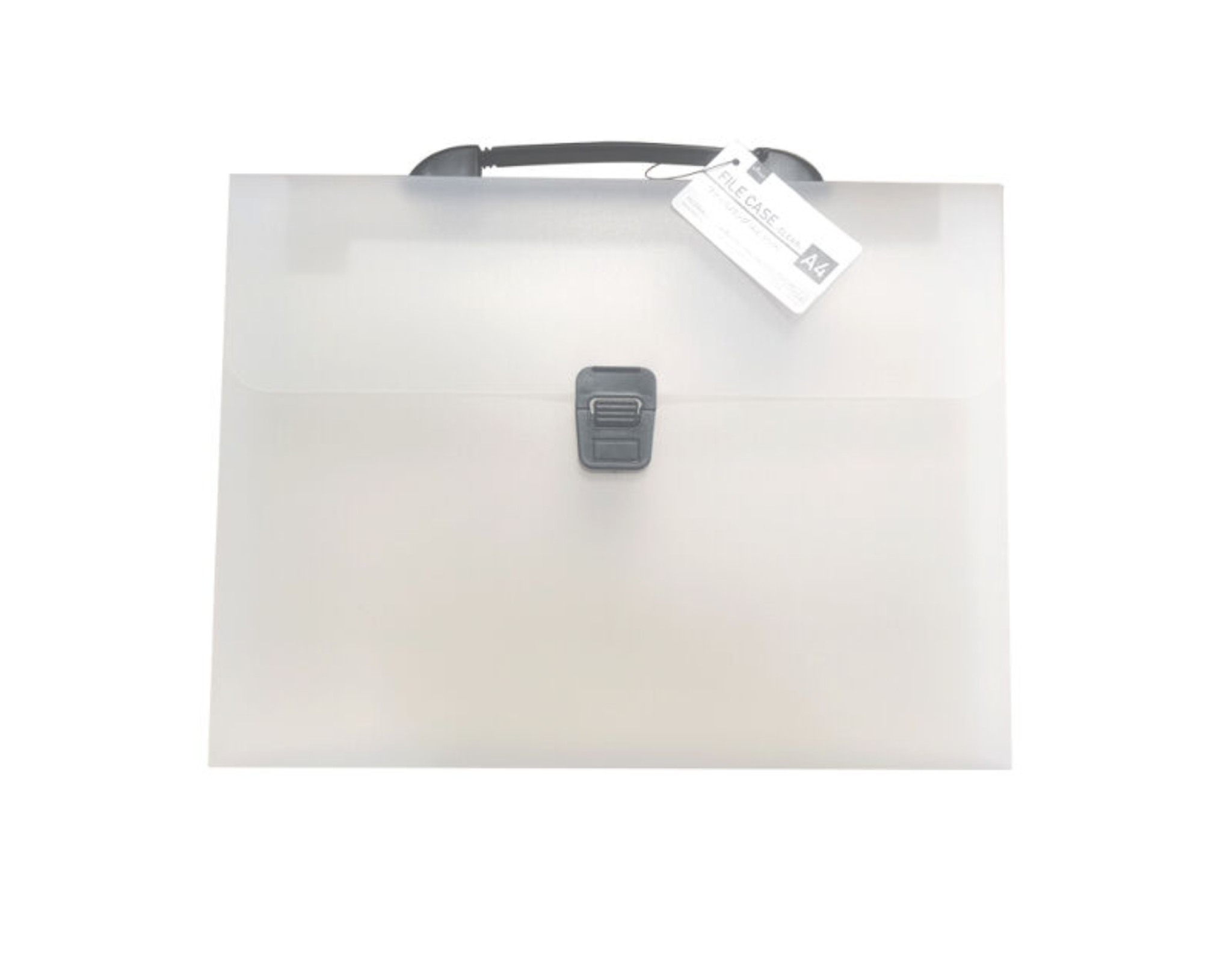 Daiso A4 File Bag Clear | myaeon2go