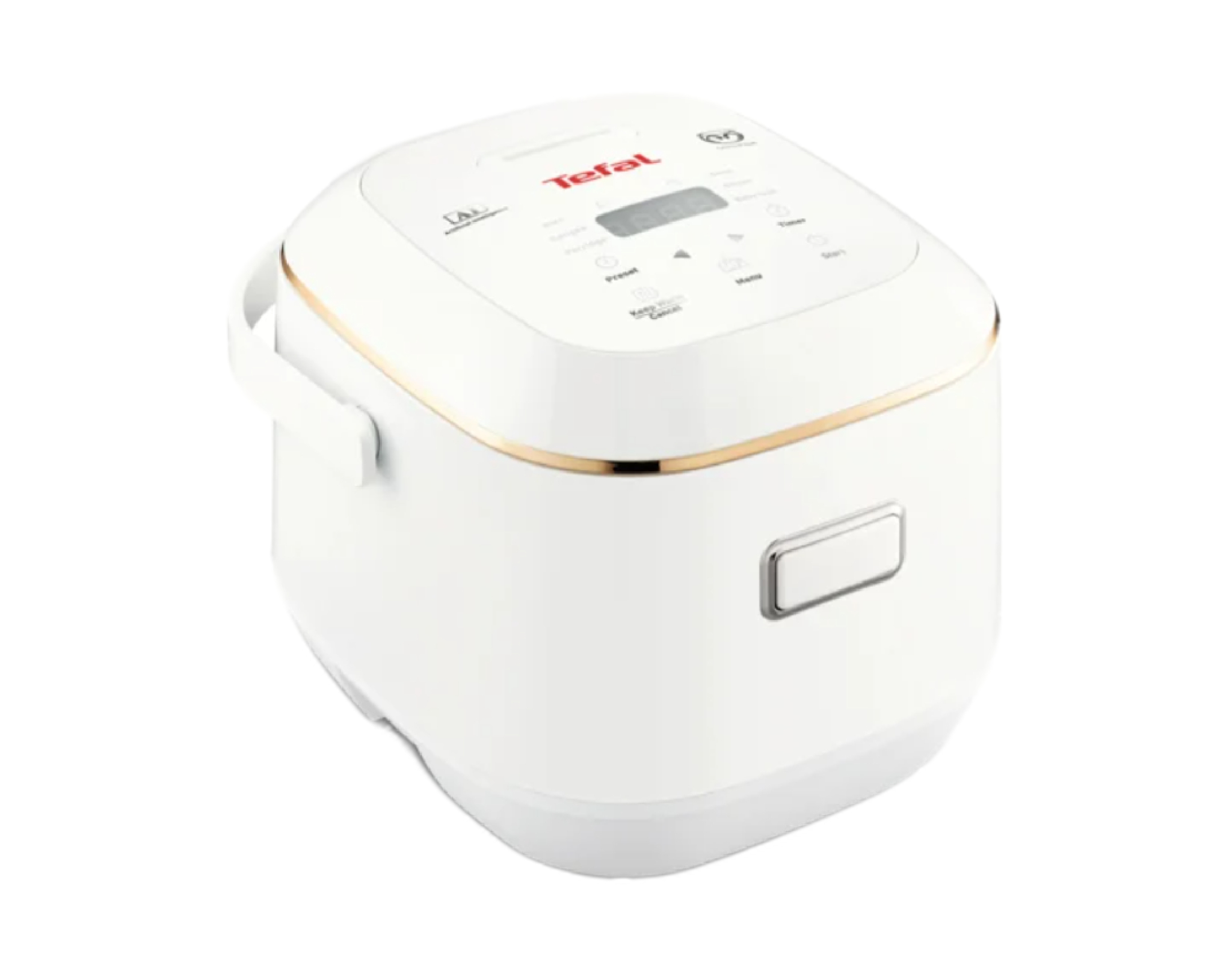 Tefal Spherical Rice Cooker (RK6011) | myaeon2go