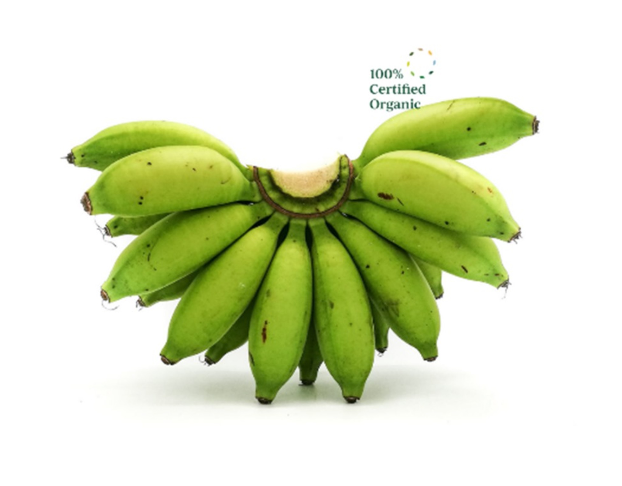 Zenxin Organic Banana | myaeon2go