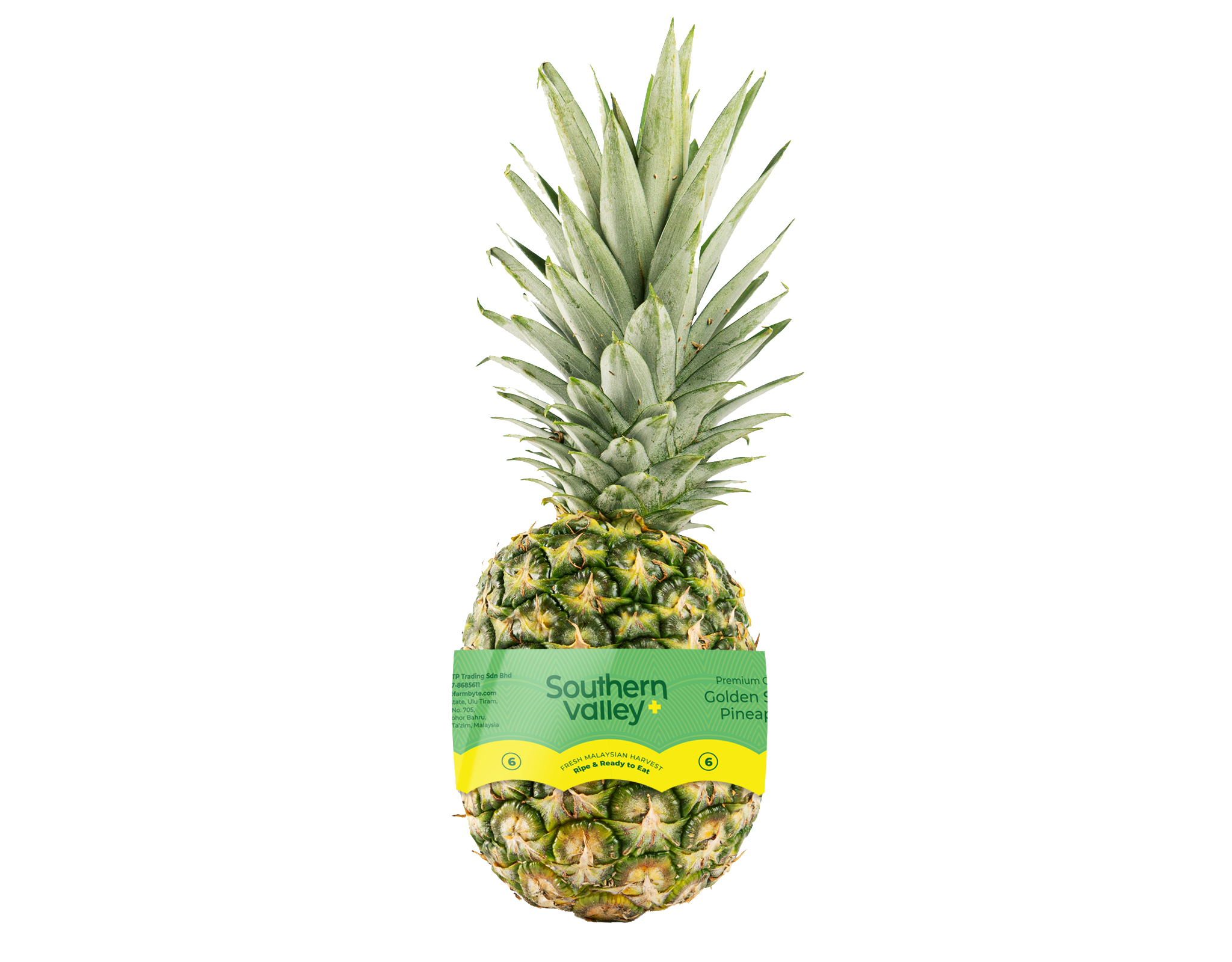 Southern Valley Malaysia Pineapple, 1.6-1.7kg - Fresh Taste