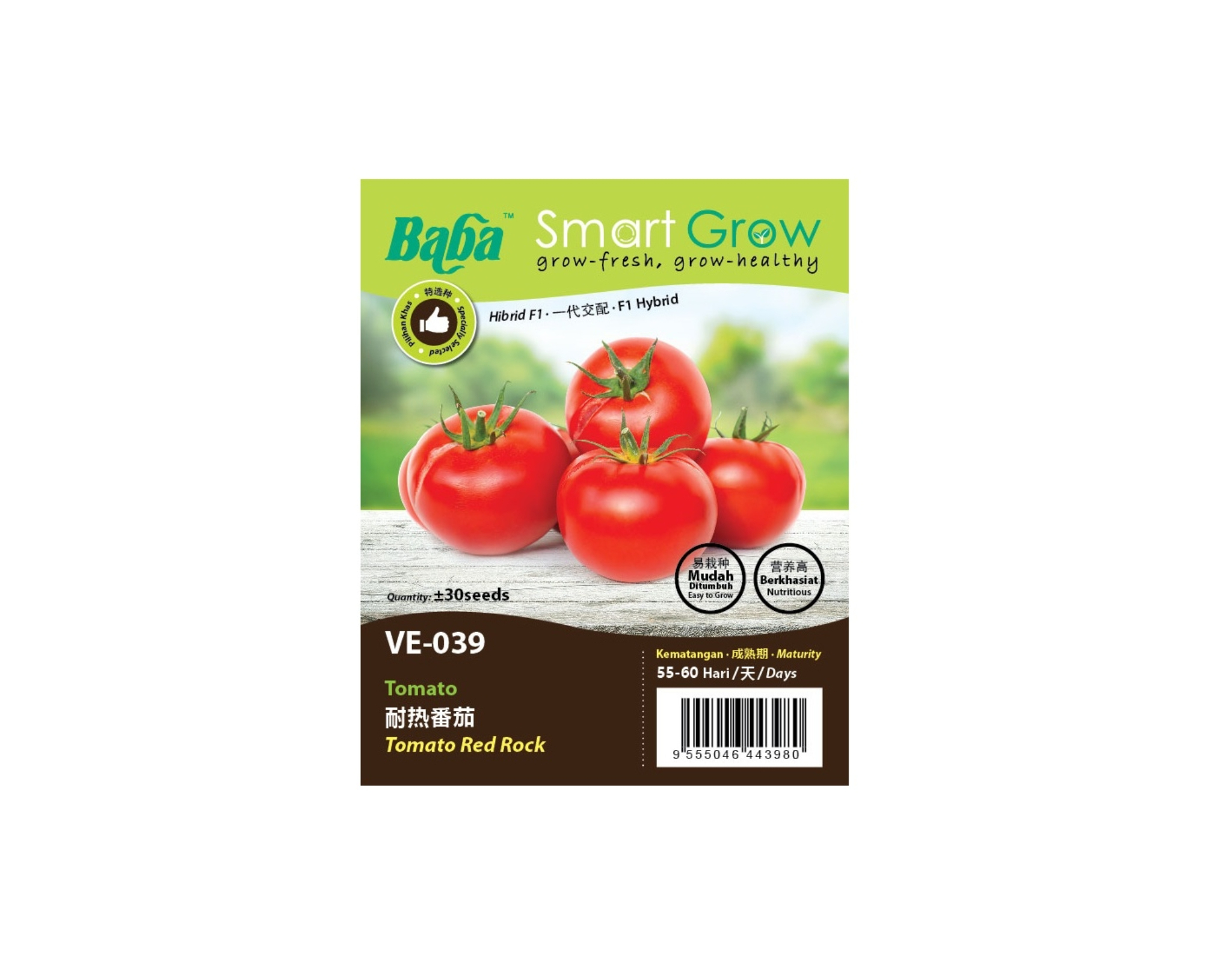 Baba Red Rock Tomato (VE-039) | myaeon2go