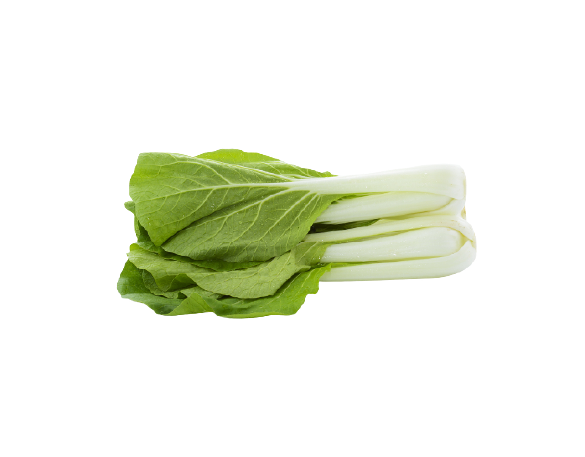 Mr. Green Jiu Bai (Sawi Putih), 300 g - Fresh & Premium