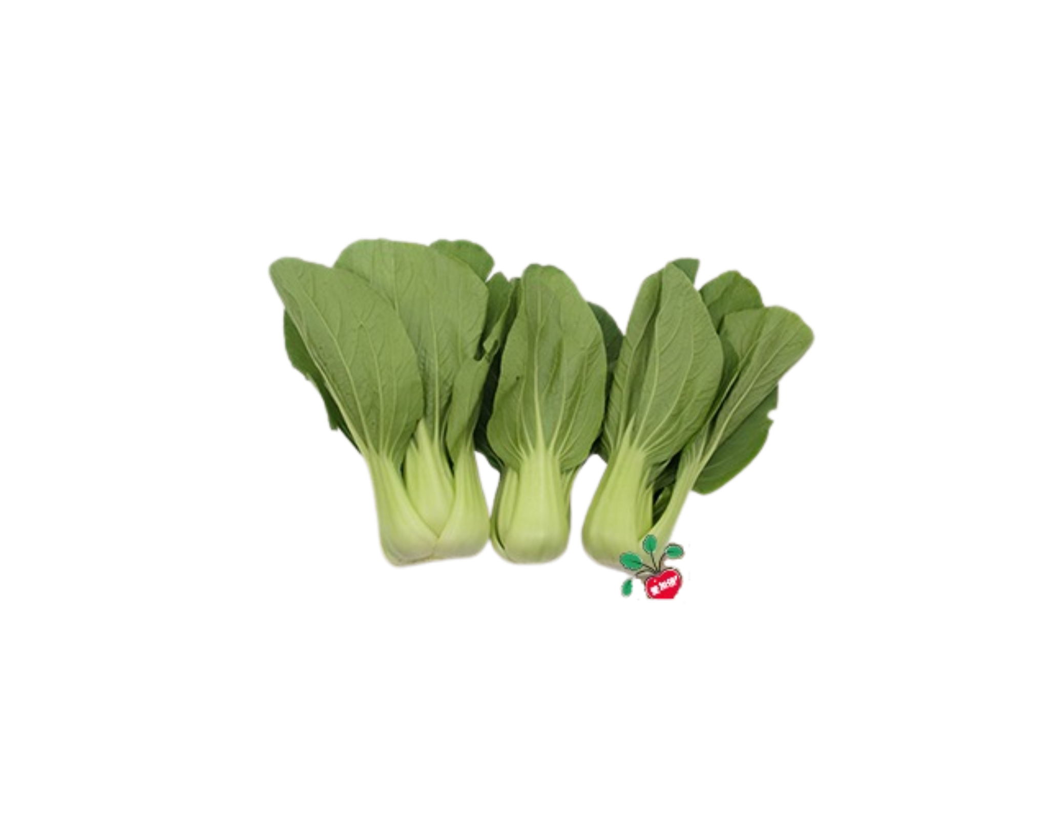 Agape Organic Organic Siew Pak Choy, 220g - Fresh & Nutritious