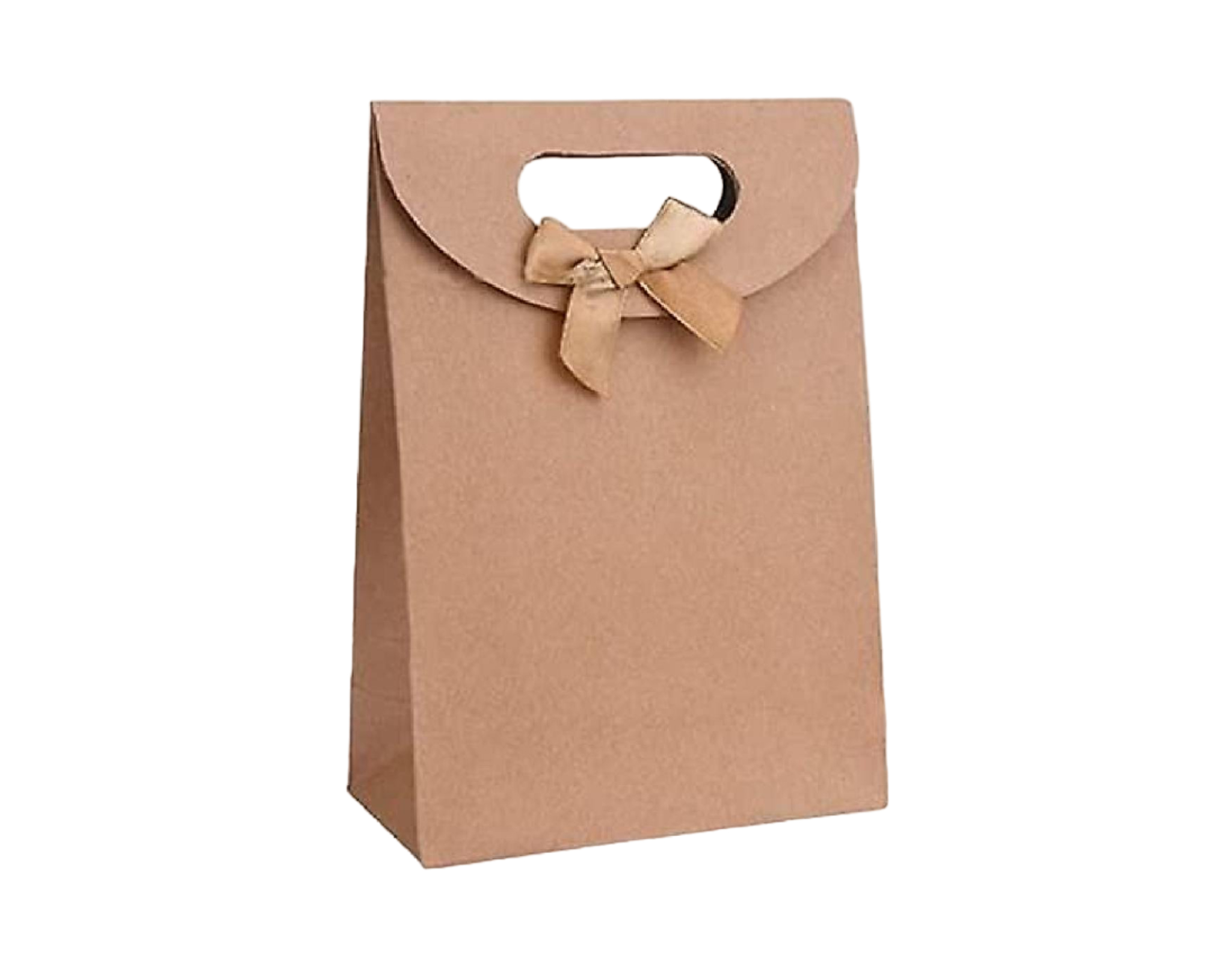 Large Paper Bag | myaeon2go